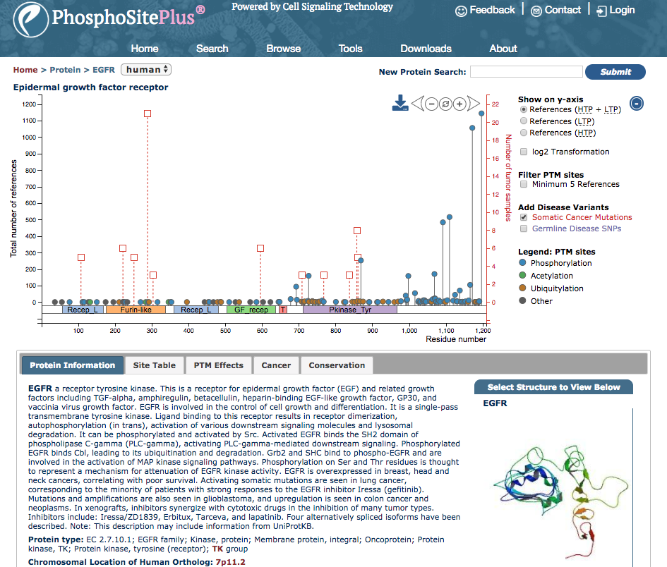 Studying PTMs and Disease Variants with PhosphoSitePlus